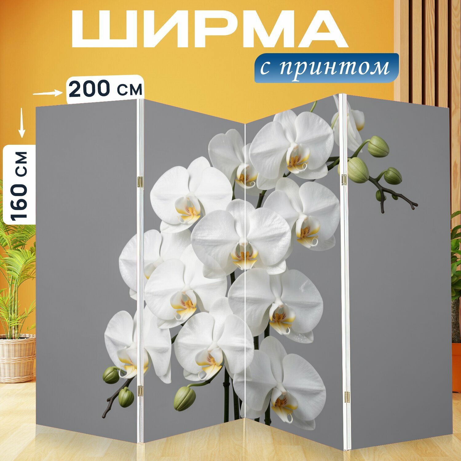 Ширма "Белые орхидеи на сером фоне. Элегантная цветочная композиция с крупными белоснежными лепестками и." перегородка для зонирования комнаты с принтом 200x160 см. на холсте