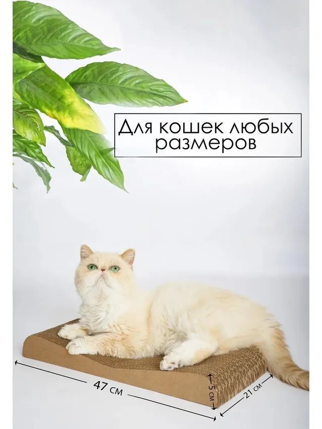 Когтеточка для кошек картонная Зверьё Моё лежанка, двусторонняя дюна