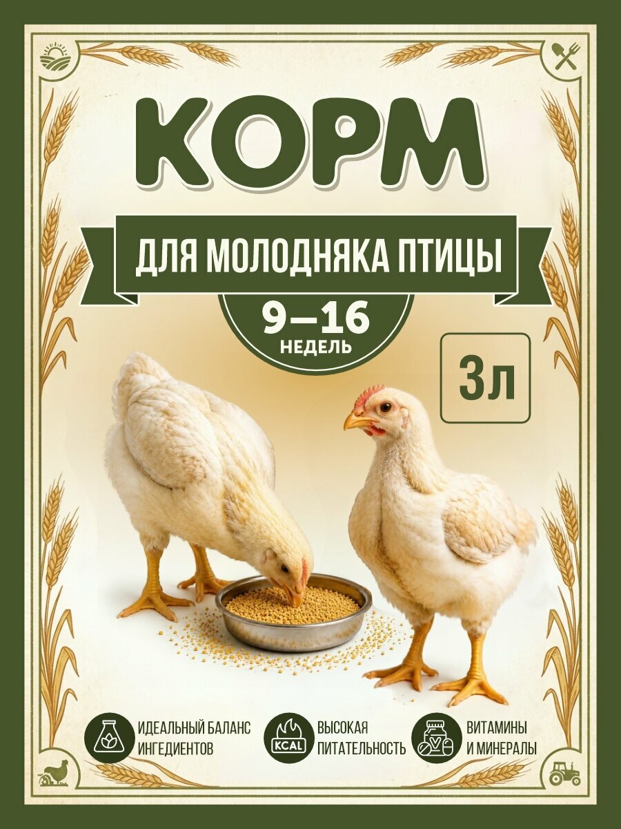 Корм для молодняка птицы 9-16 недель