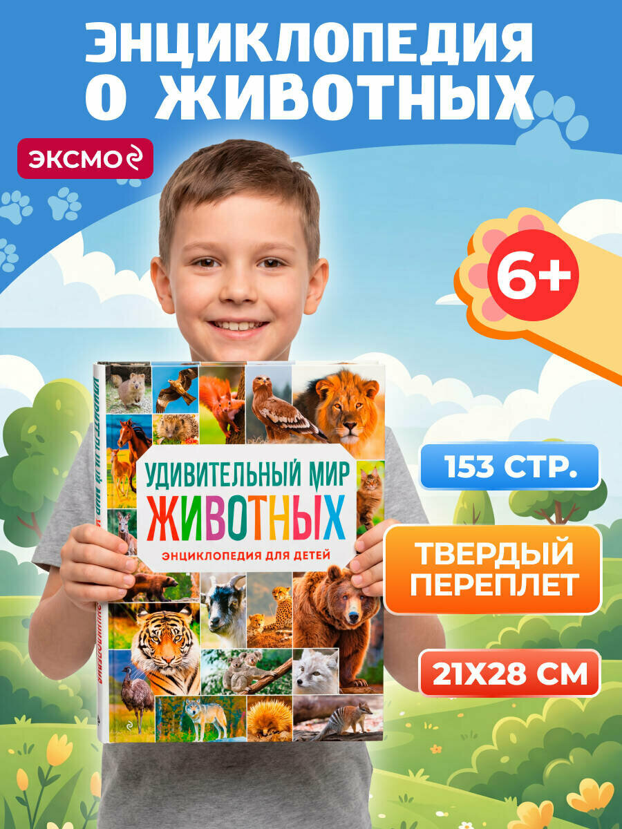 Баранова Н. Н. Удивительный мир животных. Энциклопедия для детей