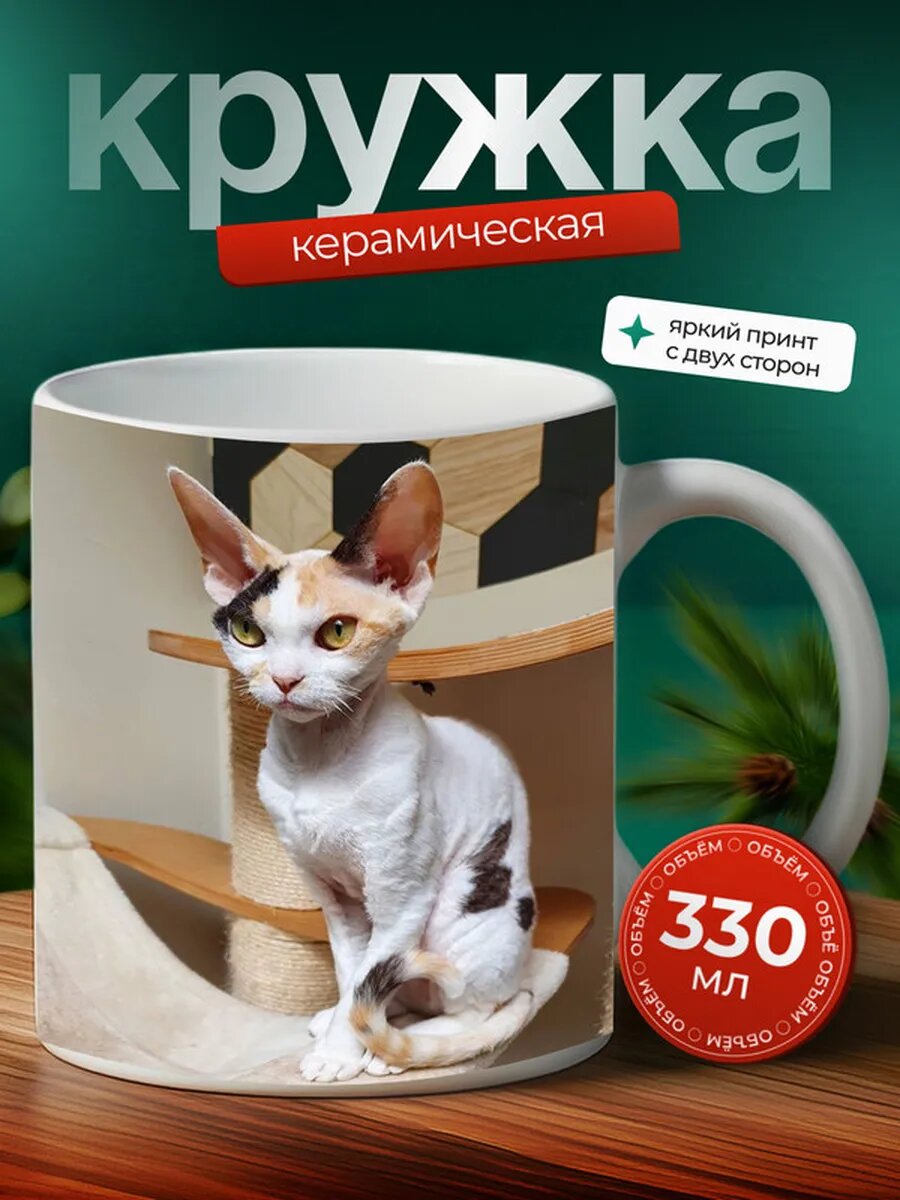 Кружка Девон-рекс кот 55,