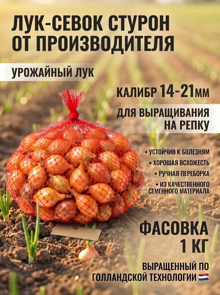Лук севок Стурон 1 кг (калибр 14-21 мм)