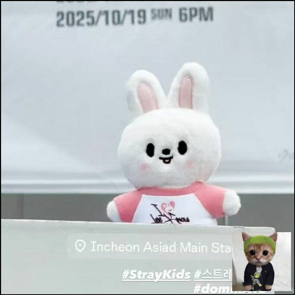 Плюшевая кукла Stray Kids SKZOO Standing Ver. серия "DominATE: celebrATE", мягкая игрушка