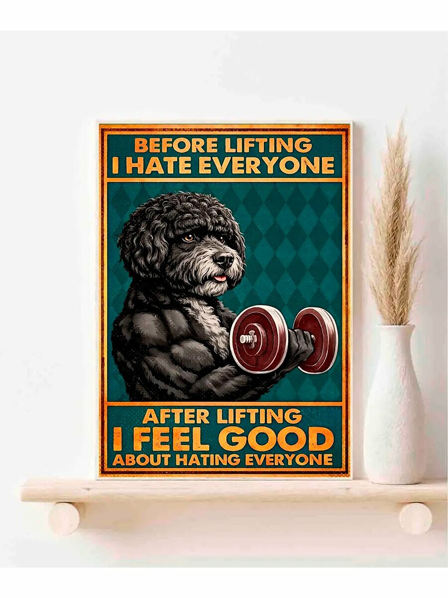Португальская водяная собака, Before After Lifting, Плакат