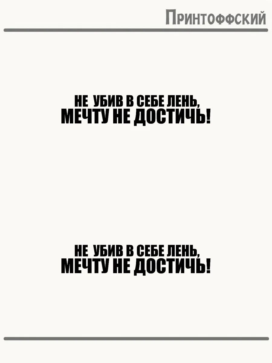 2-е (Две) Термонаклейки лень мечта