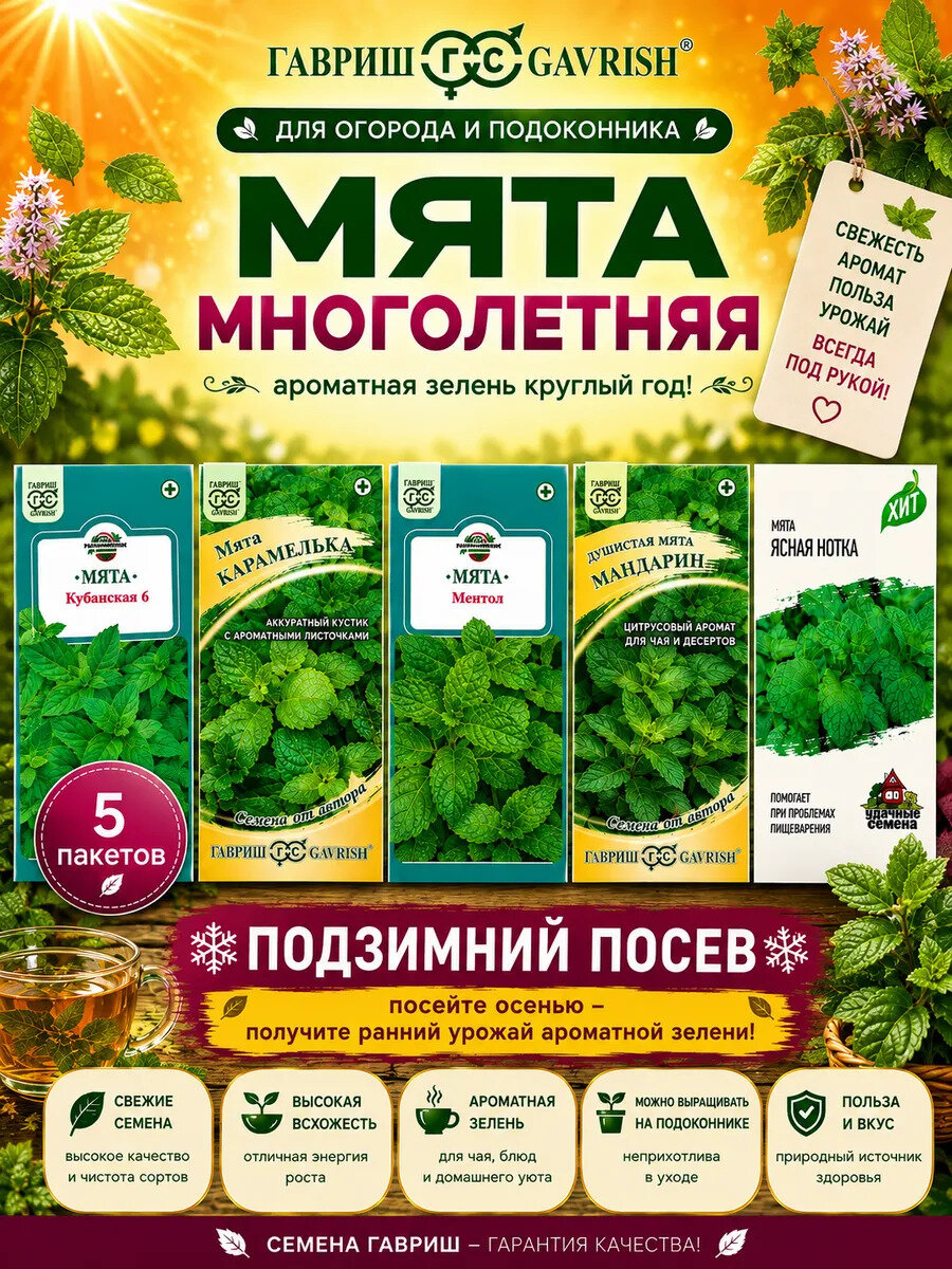 Мята семена для посадки набор 5 пакетов по 0,05 гр.