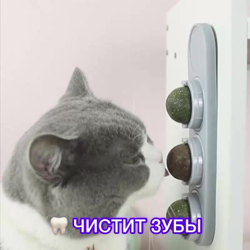 Игрушки для кошек, кошачья мята, леденец для кошек, шарик на стену