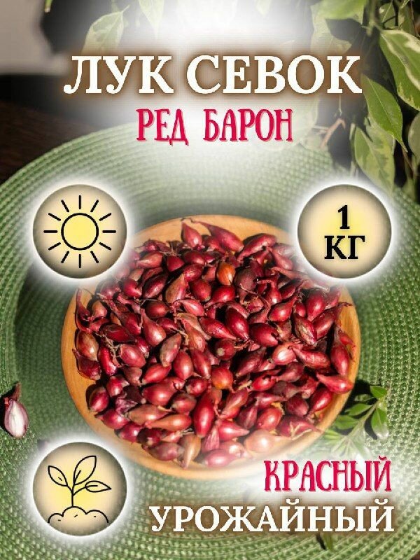 Лук-севок Красный Барон 1 кг популярный сорт красного лука / Масса товарной луковицы до 150200 г / Сладкий, сочный, без горечи / Посадка под зиму и весной