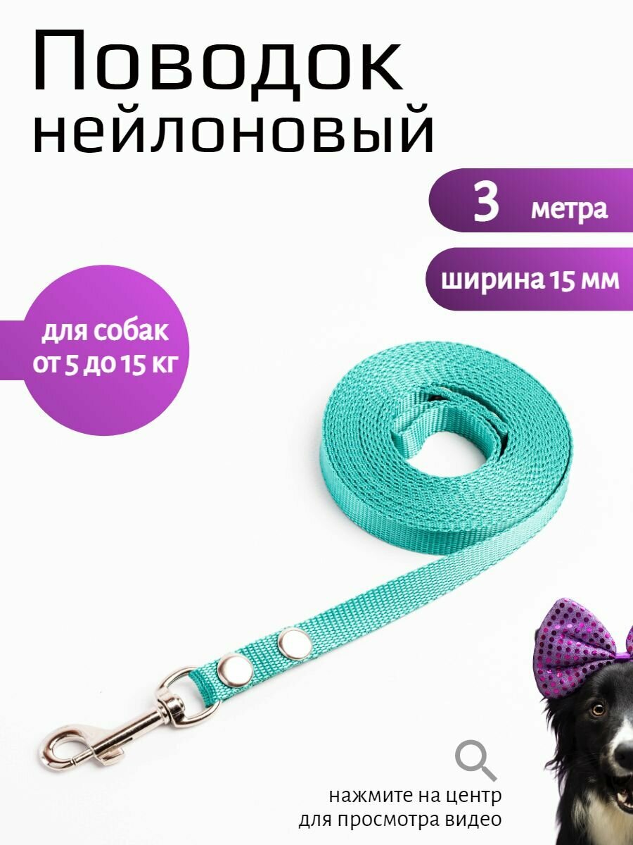 Поводок Хвостатыч для собак с карабином нейлон 3 м х 15 мм (бирюзовый)