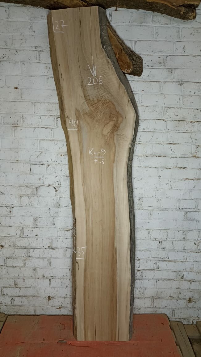 Слэб Каштан Кш9