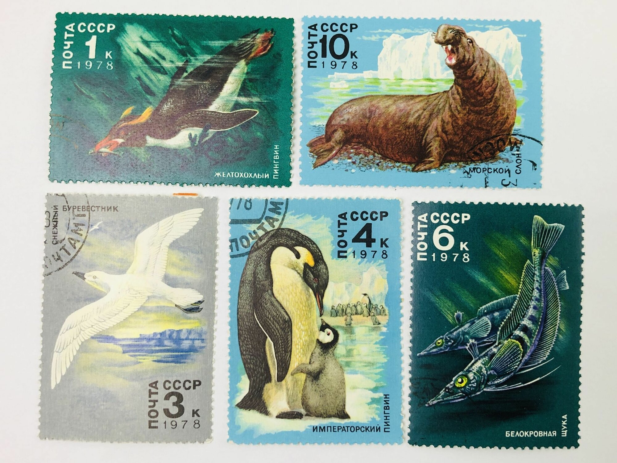 Животный мир Антарктики. Полная серия. Фауна. СССР. 1978. Загорский: 4792-4796. Гашен