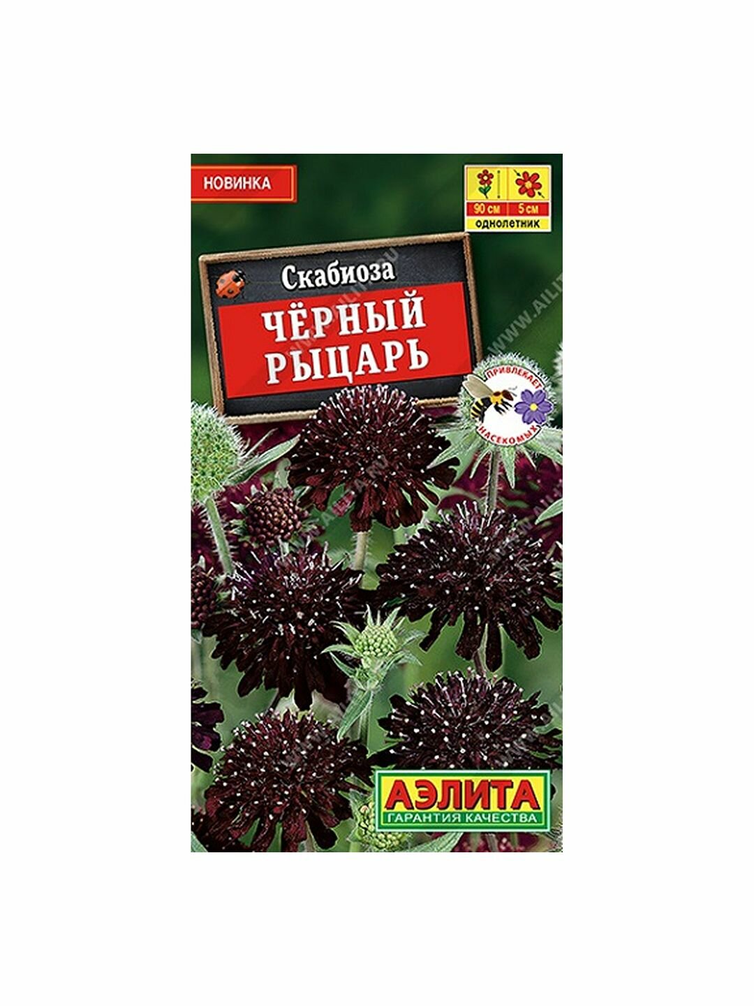 Семена Скабиоза Черный рыцарь, однолетник, Аэлита, 1 пачка - 0.1г семян