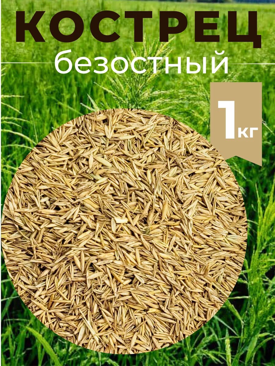 Сидераты трава кострец семена 1 кг