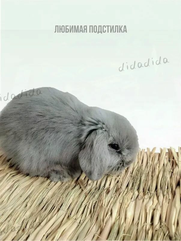 Коврик для животных — фото 1