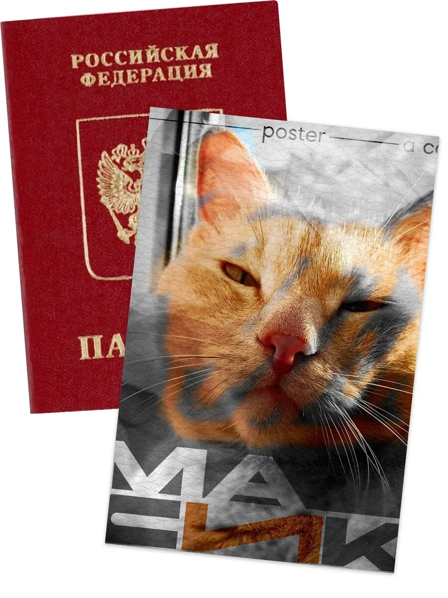 Обложка для паспорта