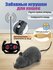 Pet Toy Interactive