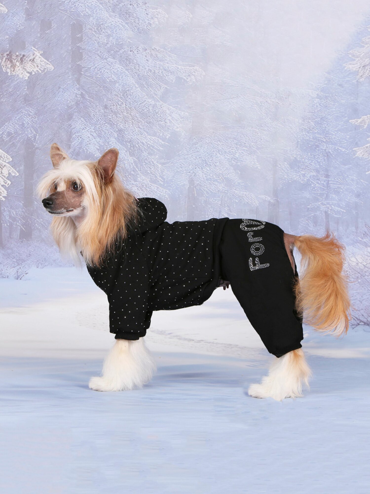 Утепленный костюм для собак мелких и средних пород на меху