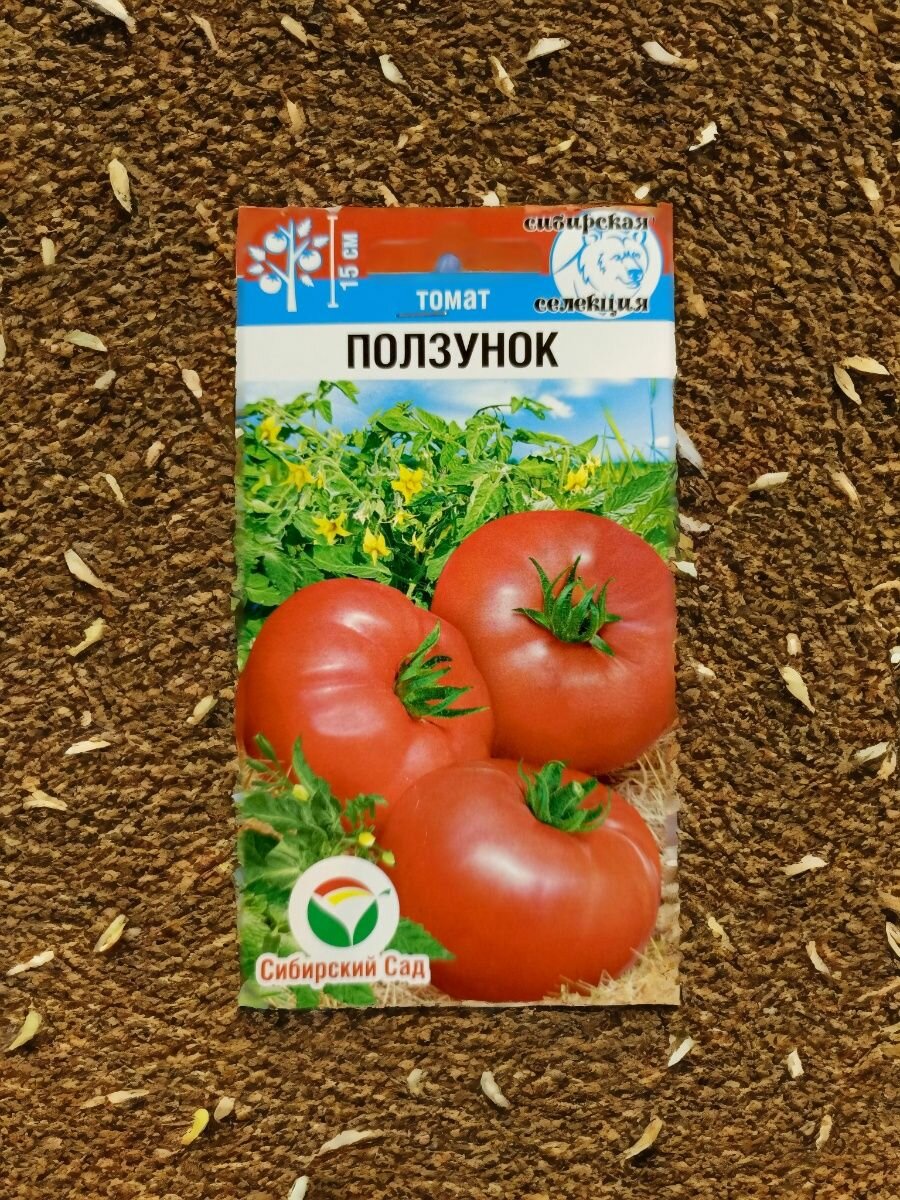 Семена томата стелющегося типа - Ползунок ( супер низкорослый ) Агрофирма Сибирский Сад