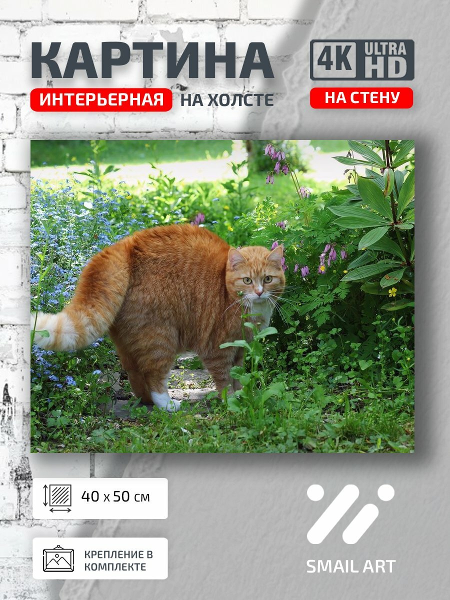 Картина на холсте интерьерная 40 на 50 на стену Шерсть Animal для детской animal style