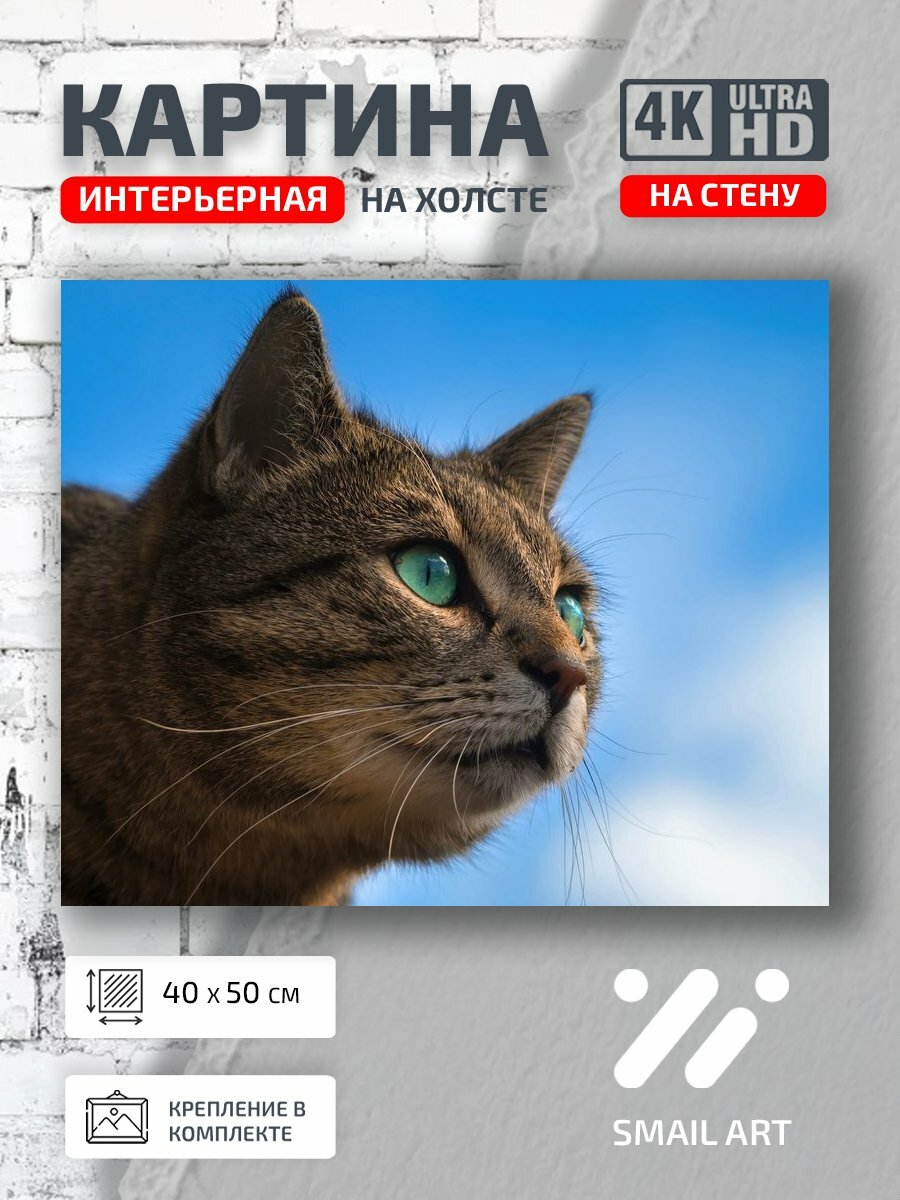 Картина на холсте интерьерная 40 на 50 на стену Глаза Animal для гостиной animal style