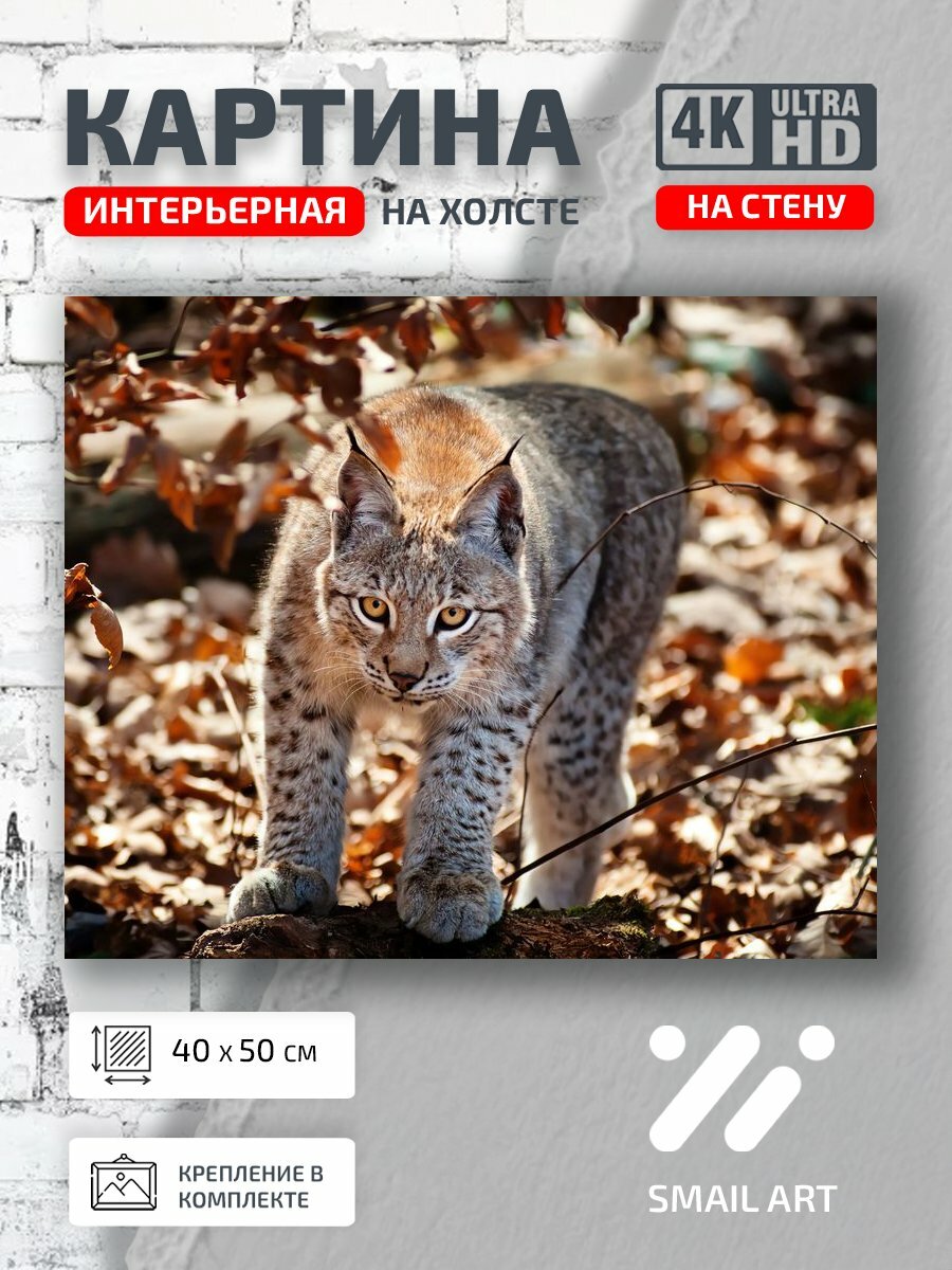 Картина на холсте интерьерная 40 на 50 на стену Осень Landscape для офиса пейзаж интерьер