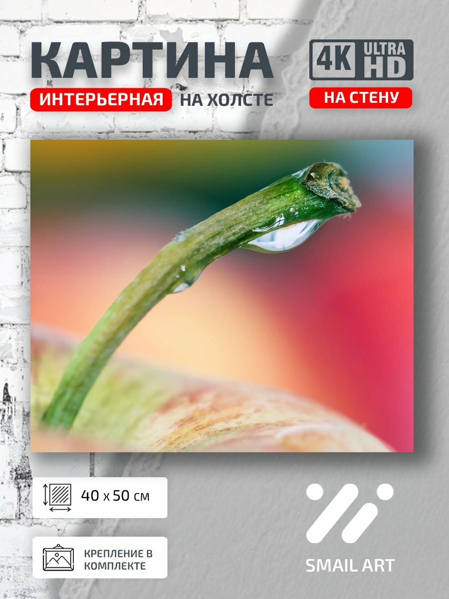 Картина на холсте интерьерная 40 на 50 на стену Хвостик Macro для студии макро интерьер