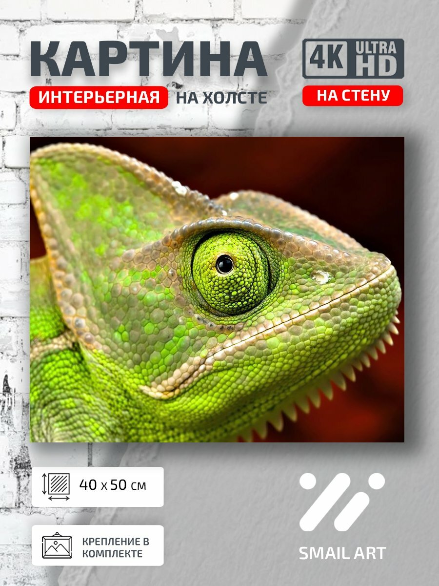 Картина на холсте интерьерная 40 на 50 на стену Хамелеон Macro для офиса макро интерьер