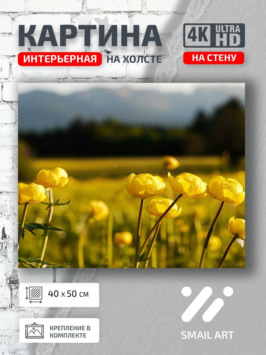 Картина на холсте интерьерная 40 на 50 на стену Поле Landscape для гостиной пейзаж интерьер