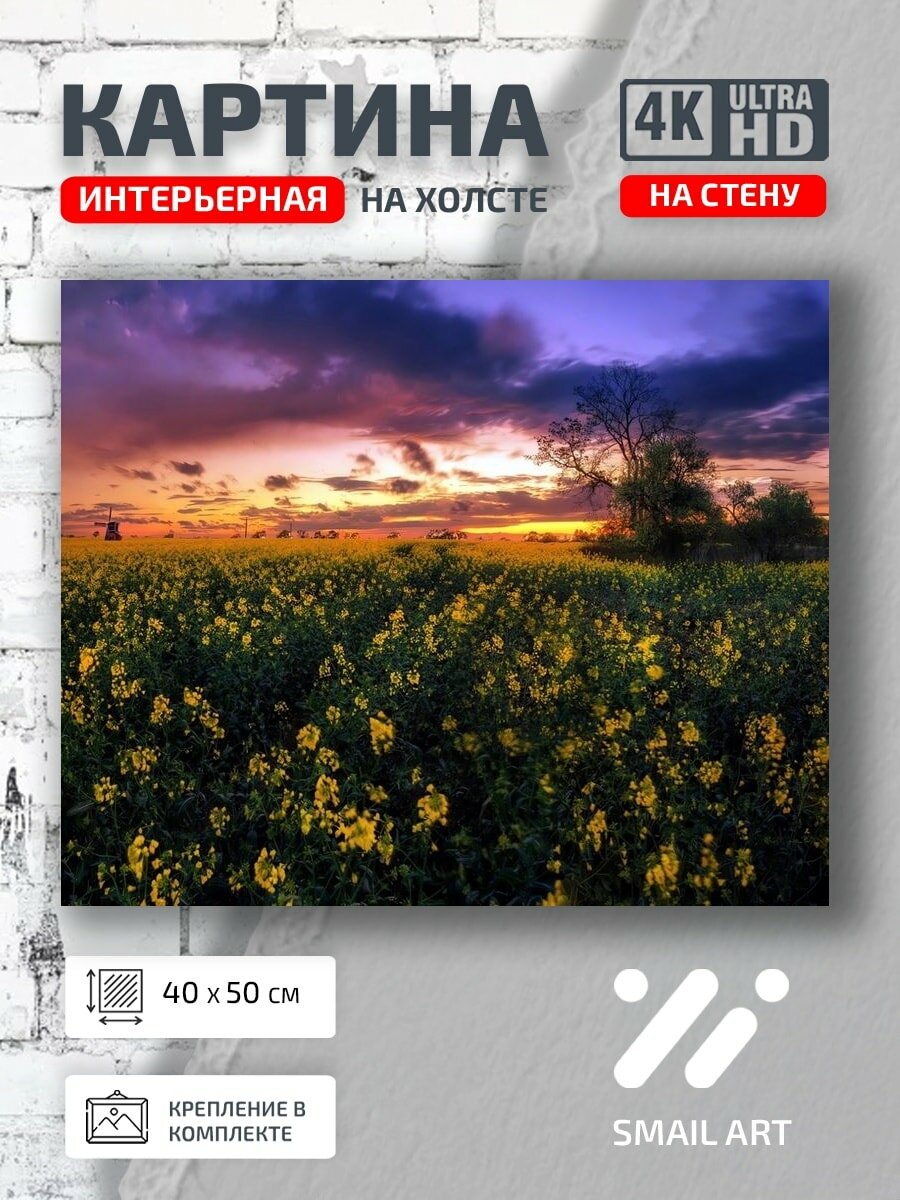 Картина на холсте интерьерная 40 на 50 на стену Пейзаж Поле для офиса атмосфера