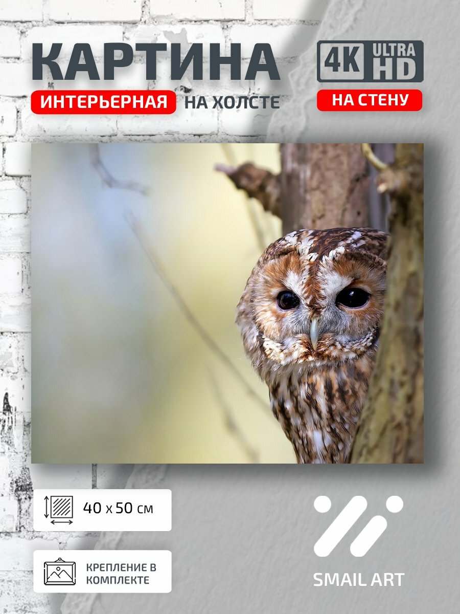 Картина на холсте интерьерная 40 на 50 на стену Ствол Landscape для гостиной пейзаж декор