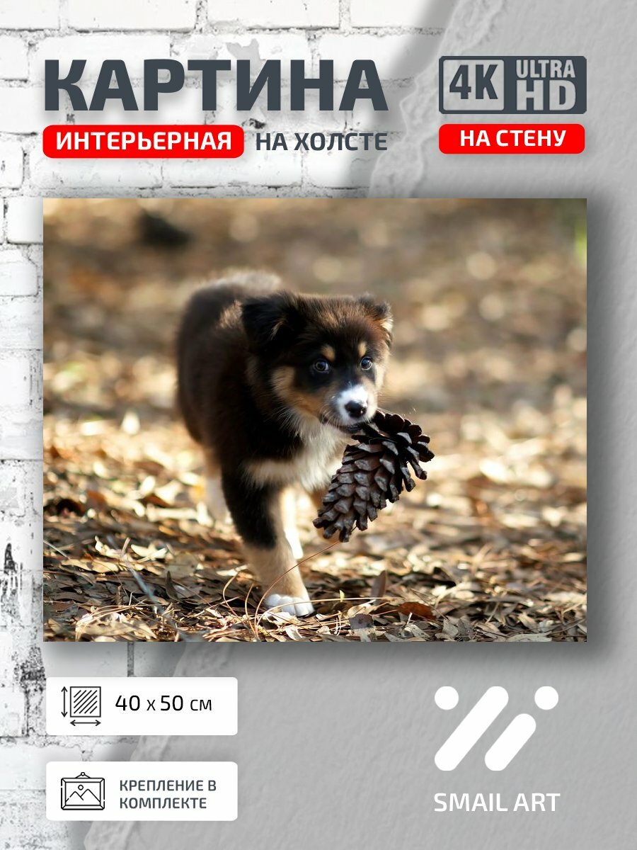 Картина на холсте интерьерная 40 на 50 на стену Шишка Mood для гостиной атмосфера интерьер