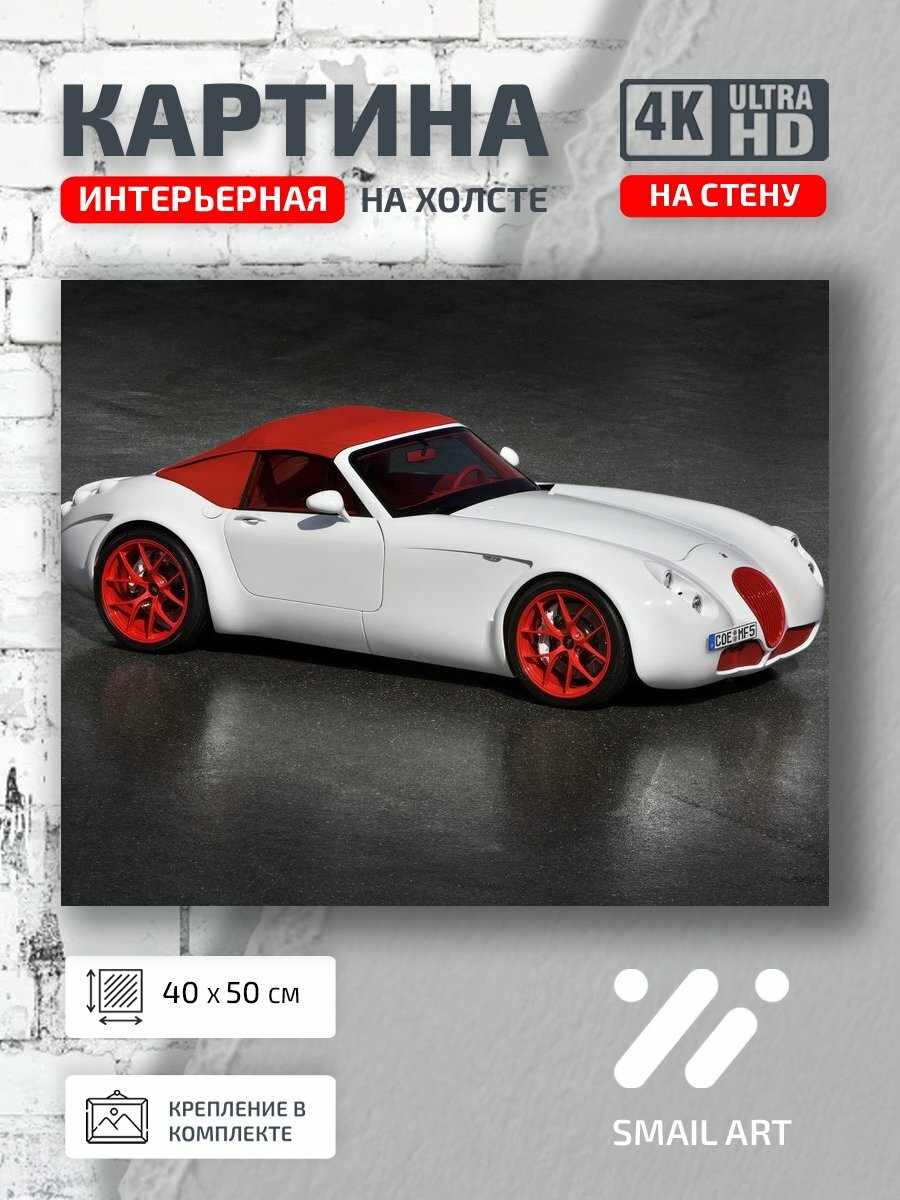 Картина на холсте интерьерная 40 на 50 на стену Дорога wiesmann для офиса авто дизайн декор