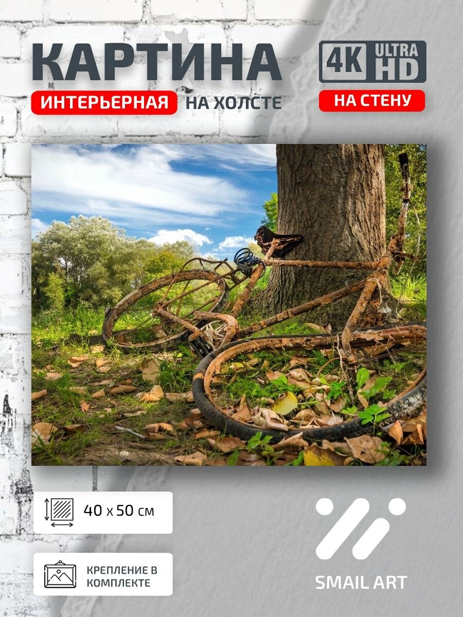 Картина на холсте интерьерная 40 на 50 на стену велосипед дерево для спальни пейзаж