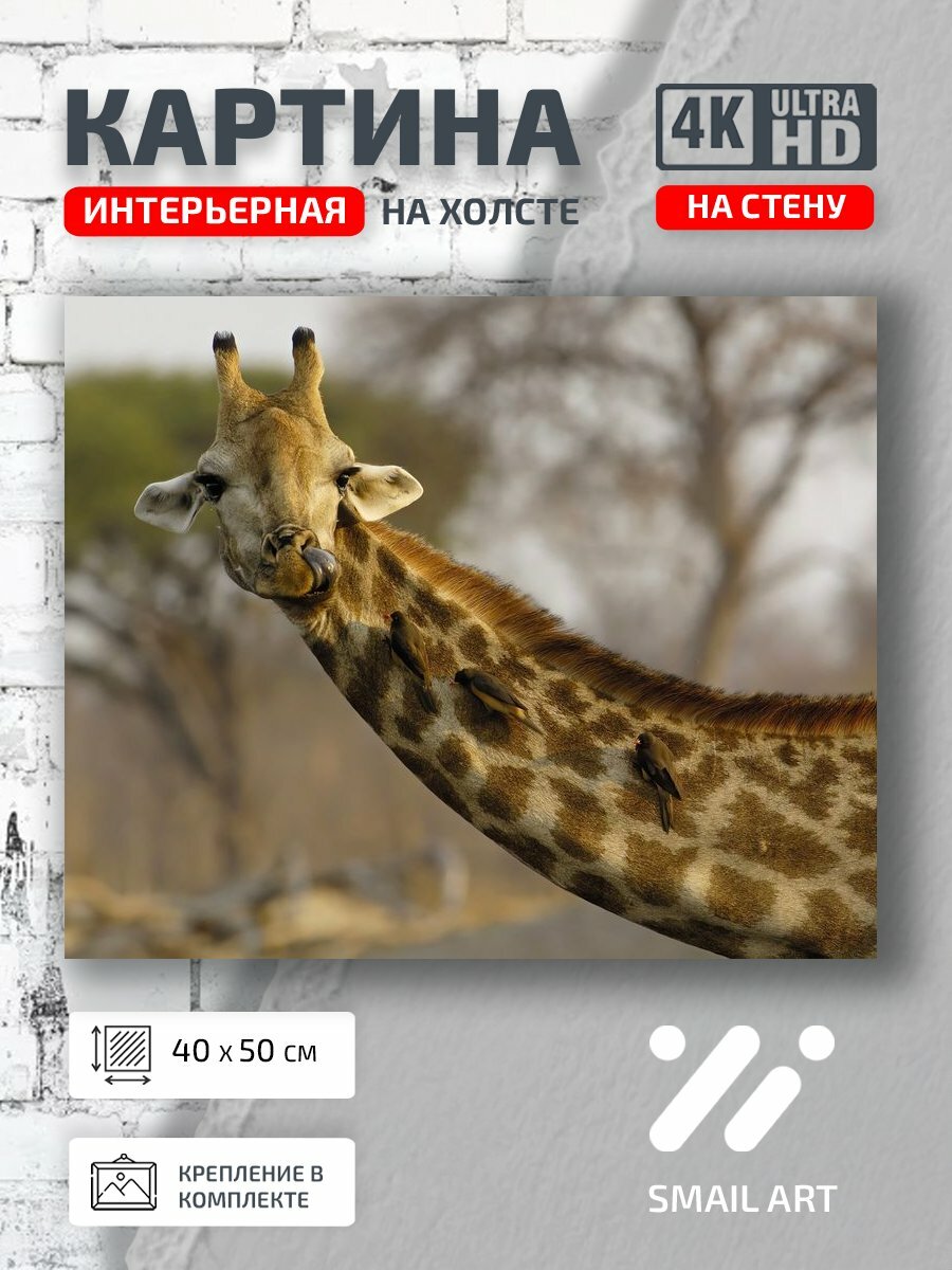 Картина на холсте интерьерная 40 на 50 на стену Африка Africa для спальни атмосфера декор