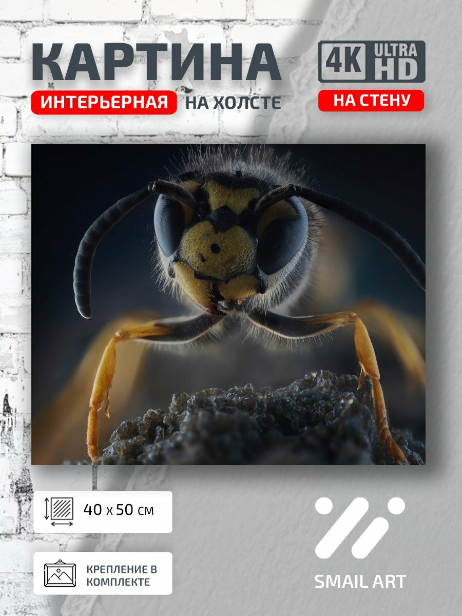 Картина на холсте интерьерная 40 на 50 на стену Насекомое Macro для офиса макро интерьер