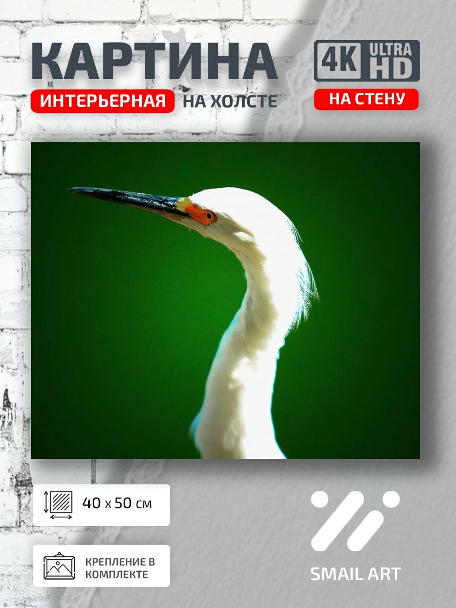 Картина на холсте интерьерная 40 на 50 на стену Животные Цапля для офиса атмосфера