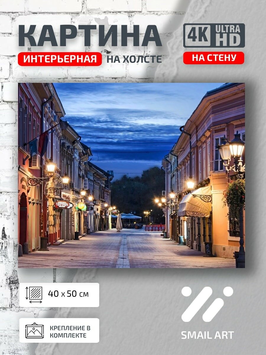Картина на холсте интерьерная 40 на 50 на стену Город Сербия для студии атмосфера