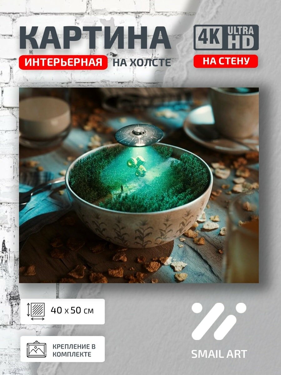 Картина на холсте интерьерная 40 на 50 на стену НЛО Макро для спальни атмосфера