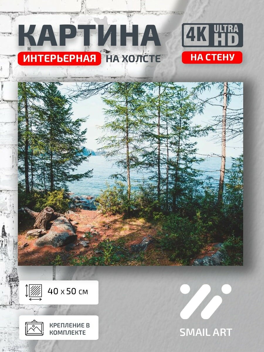 Картина на холсте интерьерная 40 на 50 на стену лес Байкала для офиса атмосфера