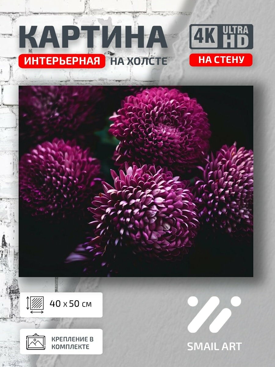 Картина на холсте интерьерная 40 на 50 на стену Природа Хризантемы для гостиной пейзаж