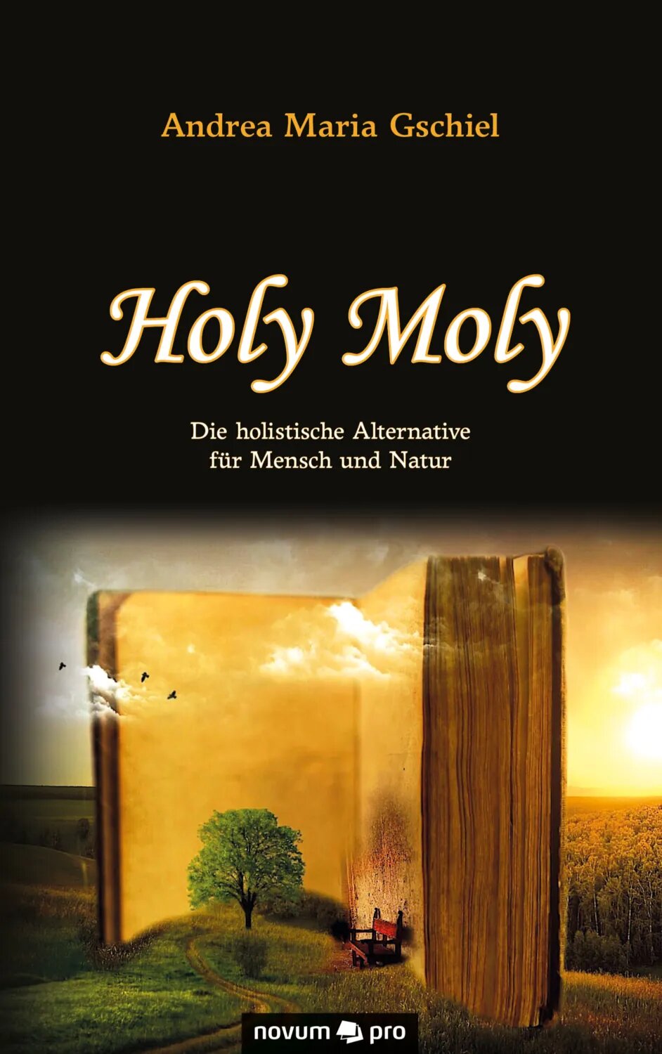 Holy Moly [Цифровая книга]