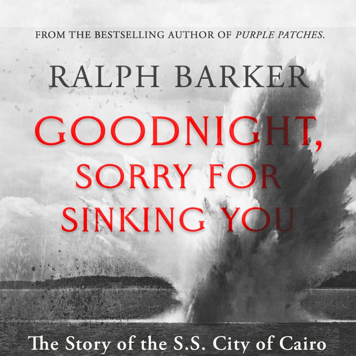 Goodnight, Sorry for Sinking You (Unabridged) [Аудиокнига]