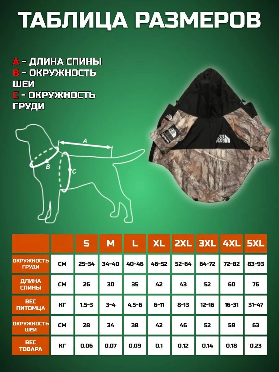 Одежда для животных — фото 1