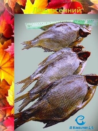 Лещ "осенний улов" 1кг