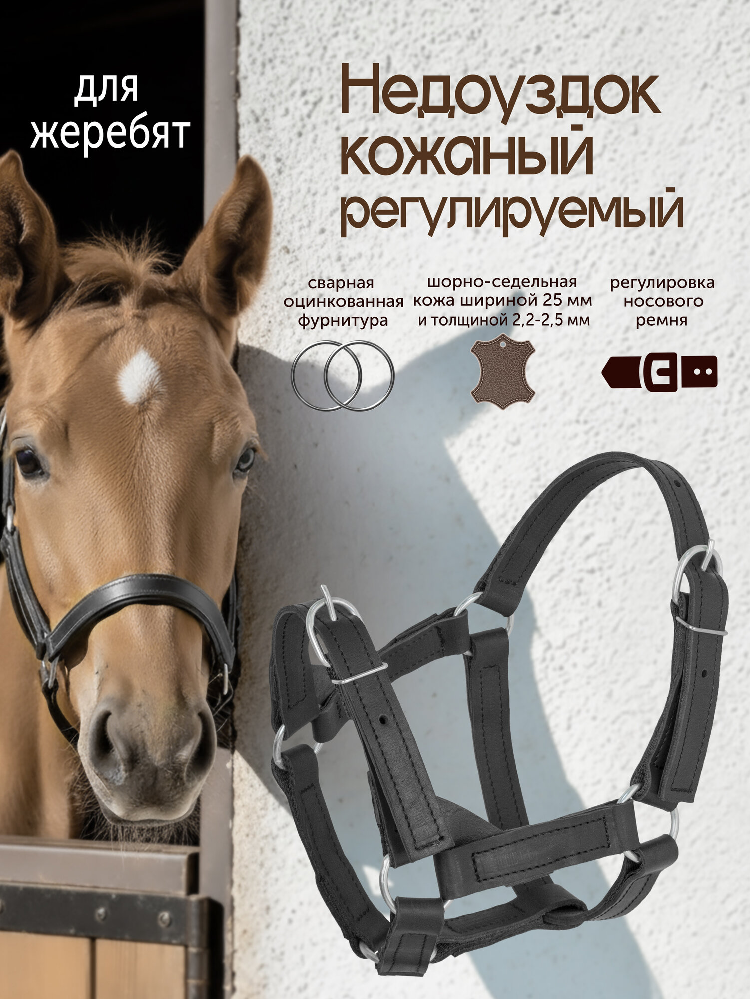 Недоуздок регулируемый для жеребят и лошадей малых пород REITER