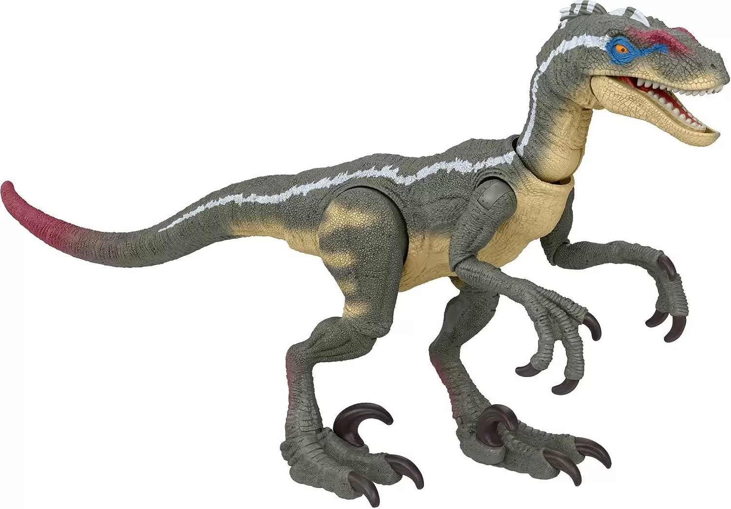 Фигурка Mattel Велоцираптор Jurassic World Hammond Collection Velociraptor, HLT49, 20 см, 1 шт.