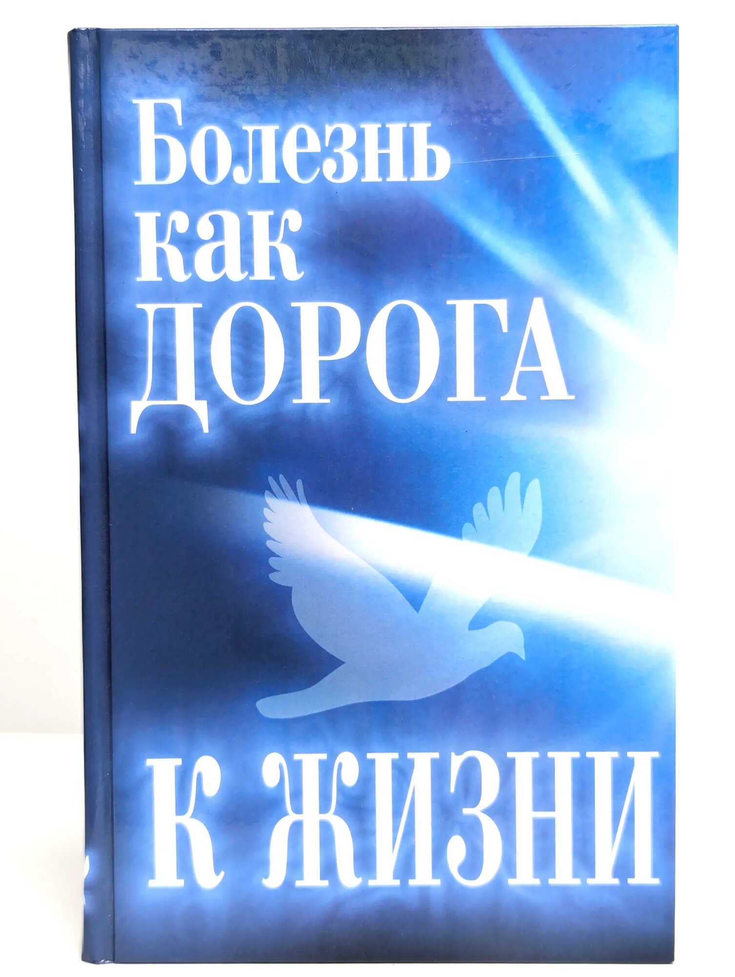 Болезнь как дорога к жизни Гарина Татьяна Витальевна 2006