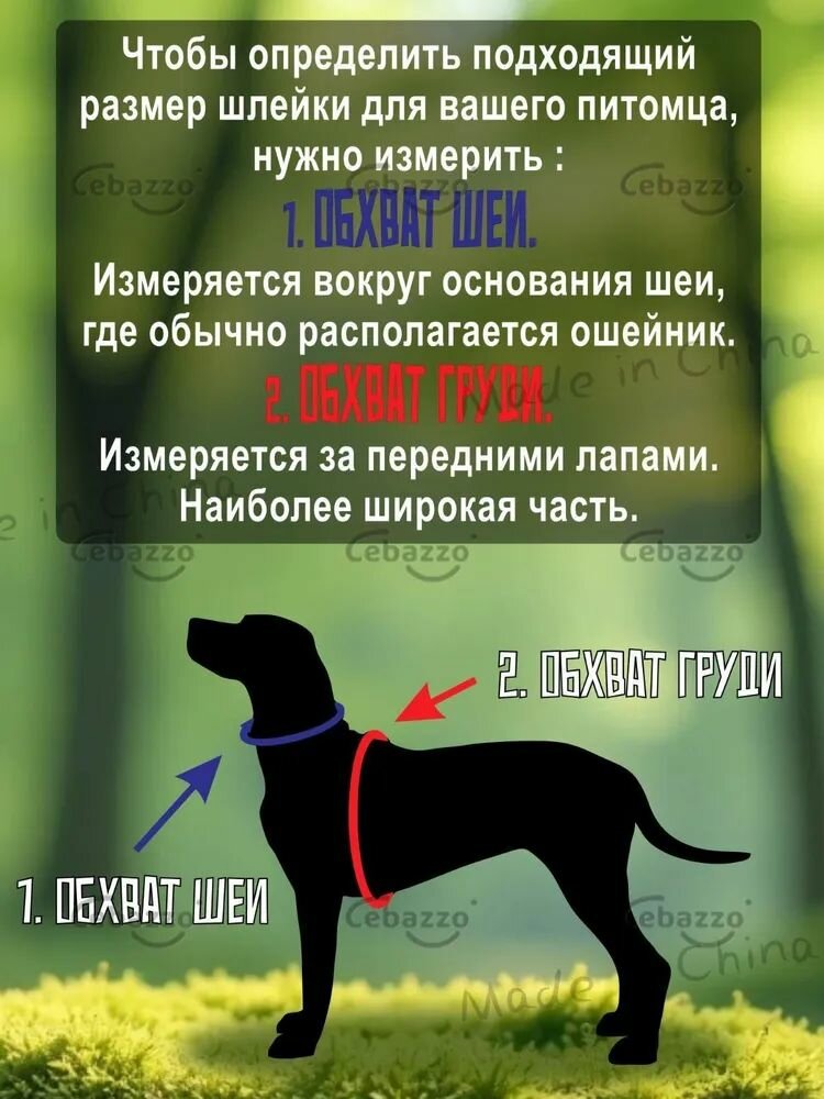 Шлейка — фото 1