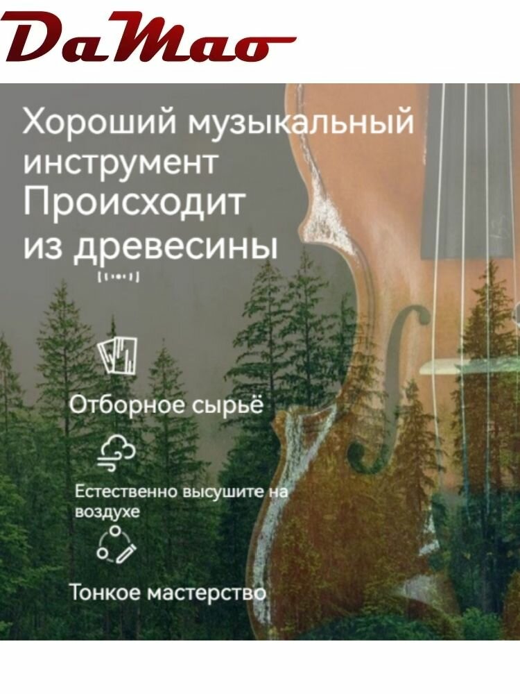 Скрипка для начинающих — фото 1