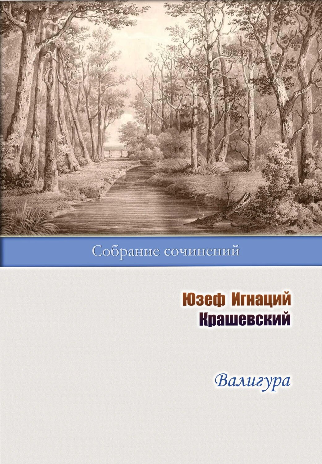 Валигура [Цифровая книга]